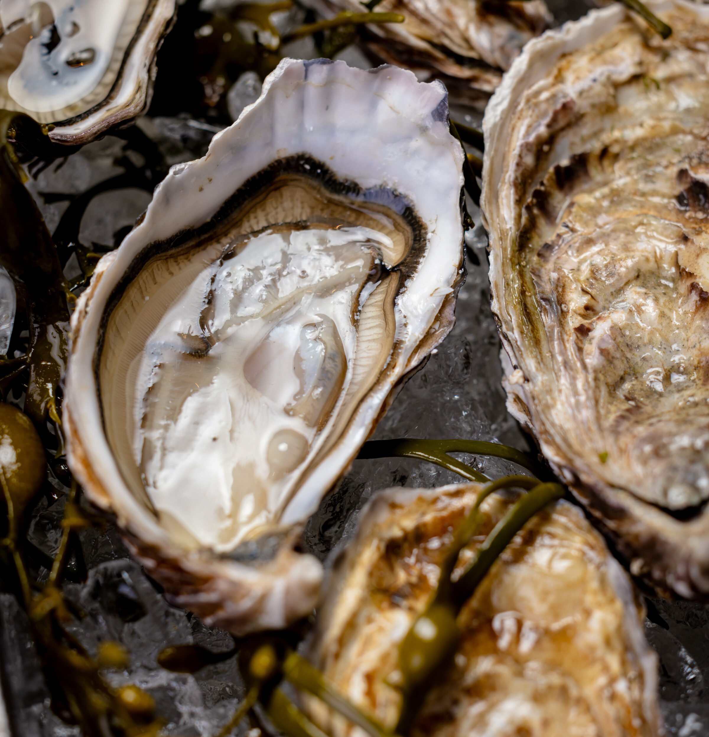 The Three Chimneys at The Talisker | Skye Restaurant
